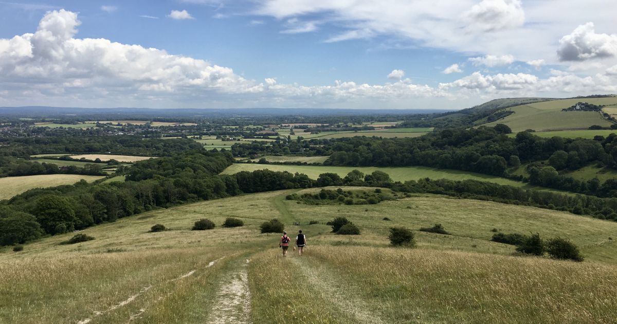 Hassocks to Brighton Away Day: South Downs & Seaside (10 or 15mi/16 or 24km - Strenuous, Booking ...